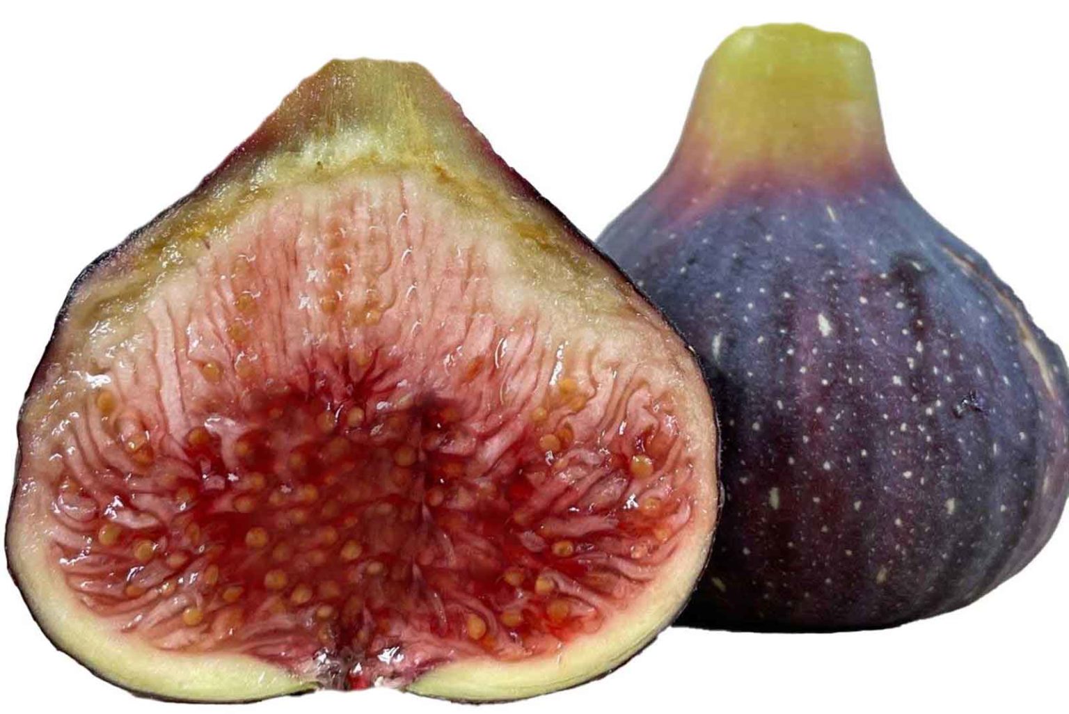 Figo Preto Fig フィーゴ プレト イチジクの特徴・味・耐寒性 | 世界のイチジク