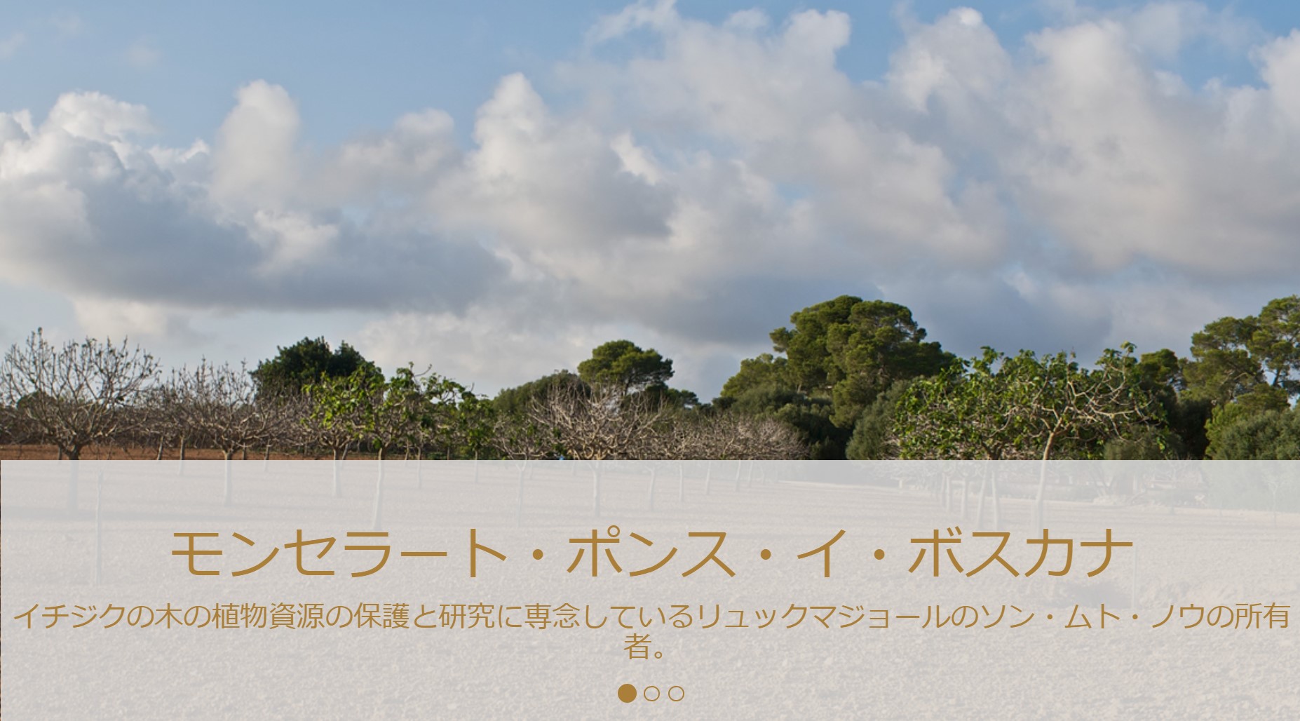 スペイン・バレアレス諸島出身のモンセラート・ポンス･イ・ボスカーナ(Monserrat Pons i Boscana) | 世界のイチジク