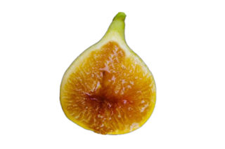 Angelito fig (アンジェリト イチジク)の特徴・味・耐寒性・栽培 | 世界のイチジク