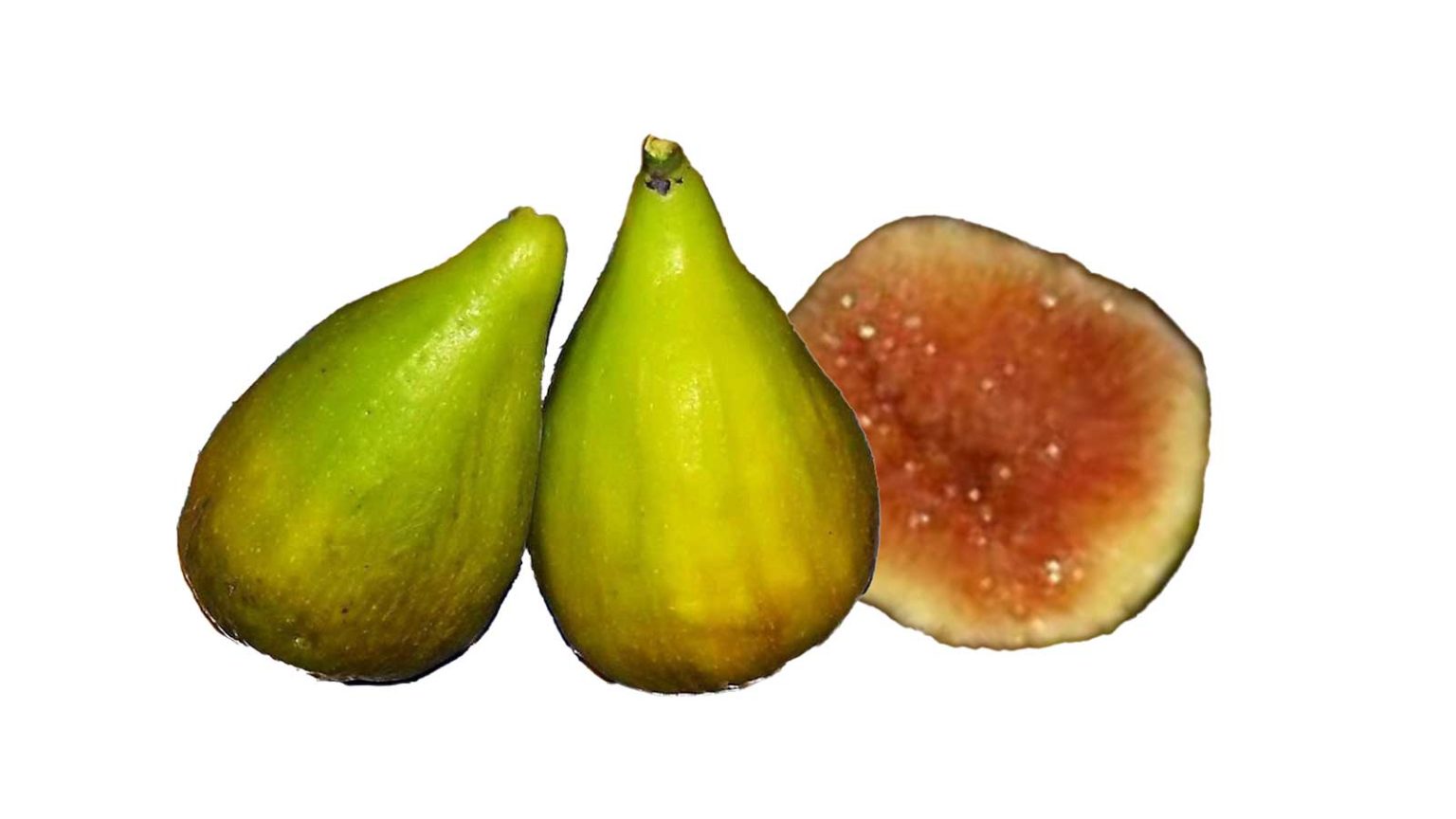 Fiorone Gigante Fig(フィオローネ ギガンテ)の特徴・味・耐寒性・栽培 | 世界のイチジク