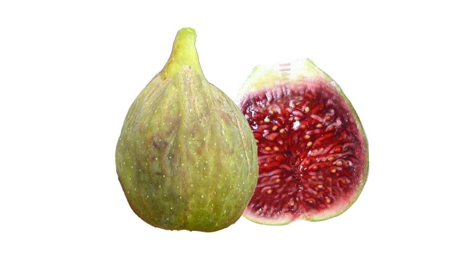 Ponte Tresa Fig(ポンテ トレーザ イチジク)の特徴・味・耐寒性・栽培 | 世界のイチジク