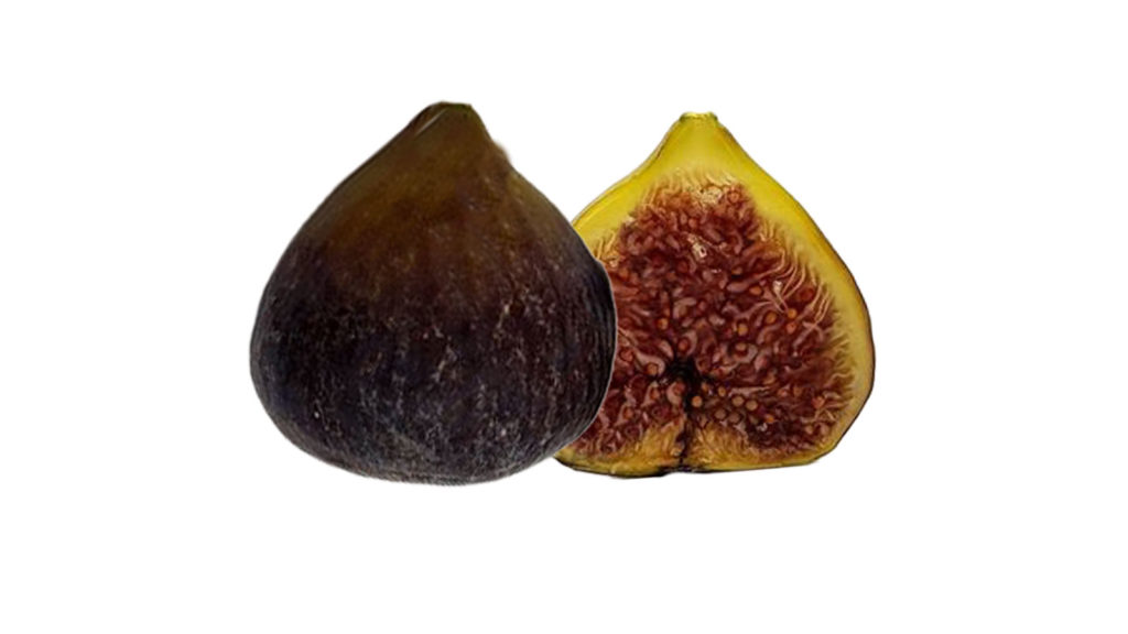Tauro Figの特徴・味・耐寒性・栽培 | 世界のイチジク