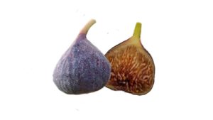 Beall Fig(ビオール イチジク)の特徴・味・耐寒性・栽培 | 世界のイチジク
