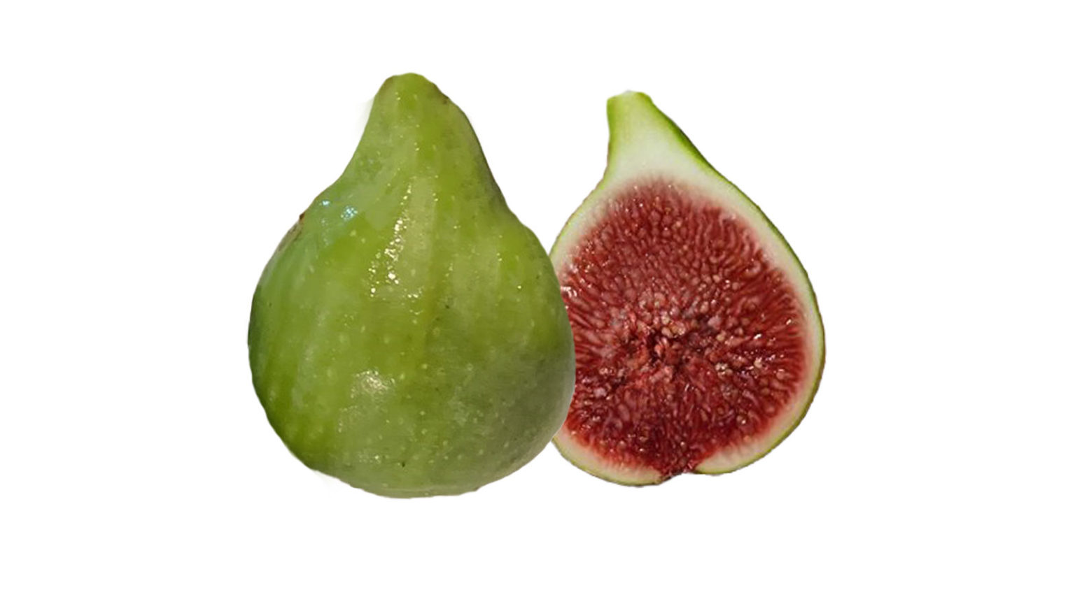 NV1の特徴・味・耐寒性・栽培 | 世界のイチジク