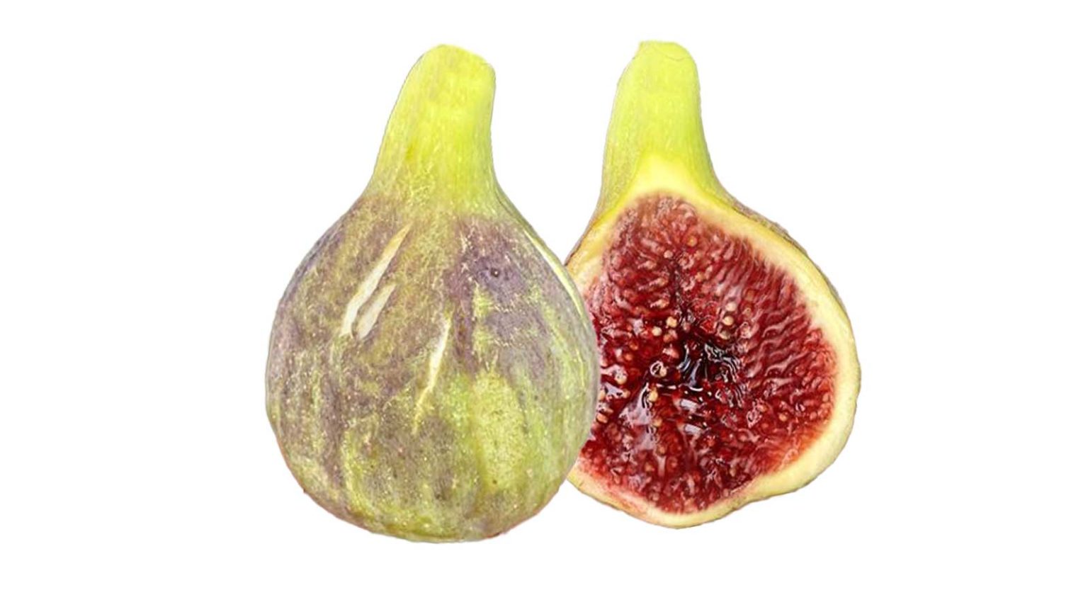 Golden Riverside Fig(UCR 278-128) ゴールデンリバーサイド イチジクの特徴・味・耐寒性・栽培 | 世界のイチジク