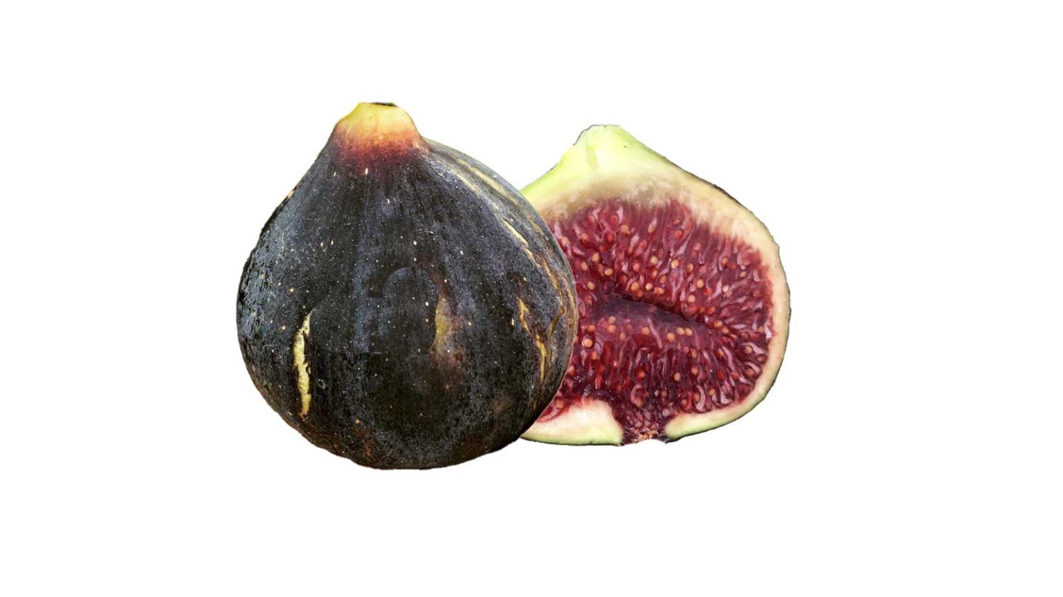 Golden Riverside Fig(UCR 278-128) ゴールデンリバーサイド イチジクの特徴・味・耐寒性・栽培 | 世界のイチジク