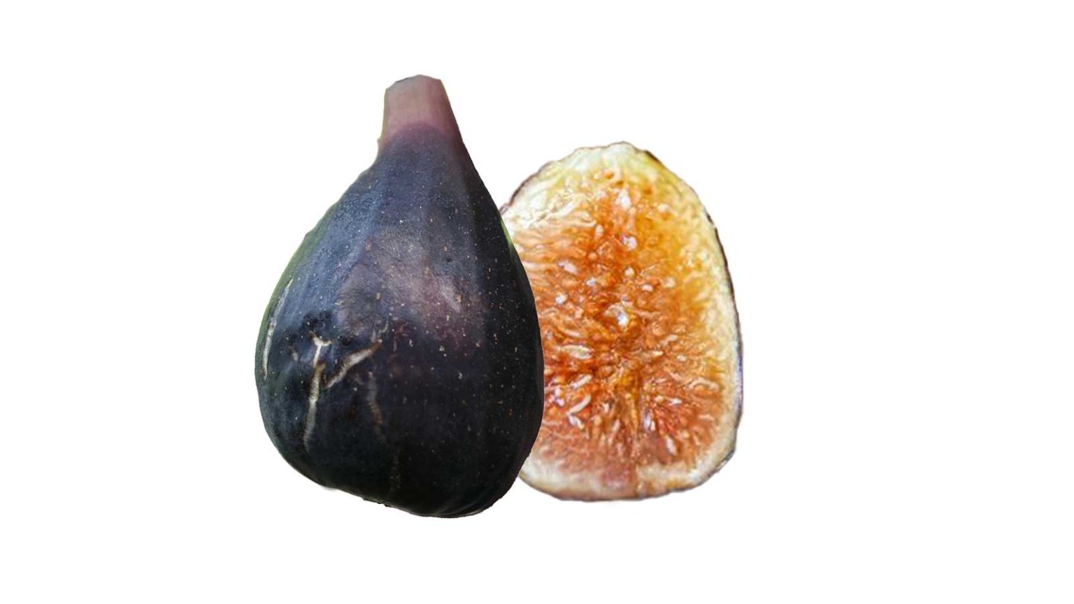 Carr (Carr Fire) Fig カー(カー ファイヤー イチジク)の特徴・味・耐寒性・栽培 | 世界のイチジク